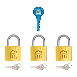 P1J30 - Brass Keyed Alike Padlock | FortKnox